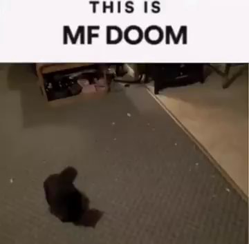 THIS IS MF DOOM - iFunny