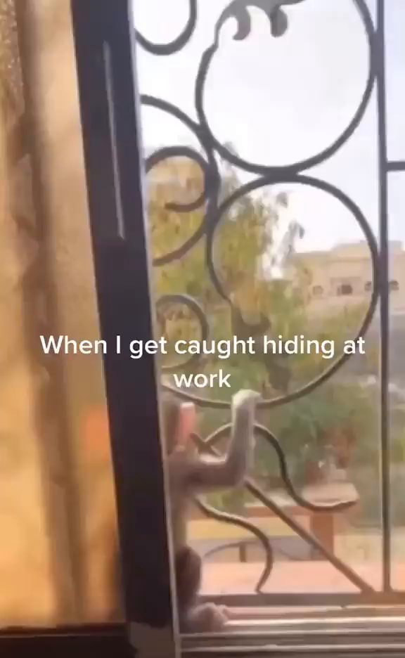When I get caught hiding at work - iFunny