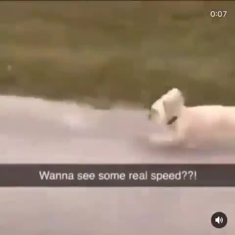 Wanna see some real speed??! - iFunny