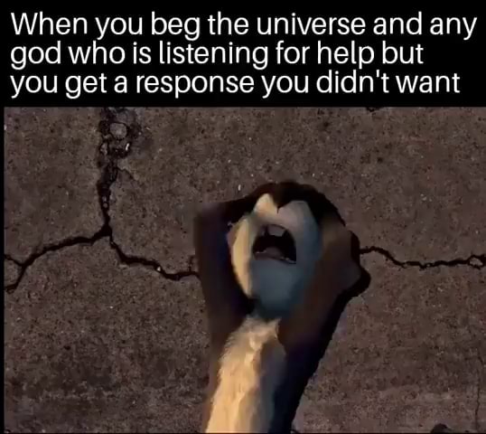 When you beg the universe and any god who is listening for help but you ...