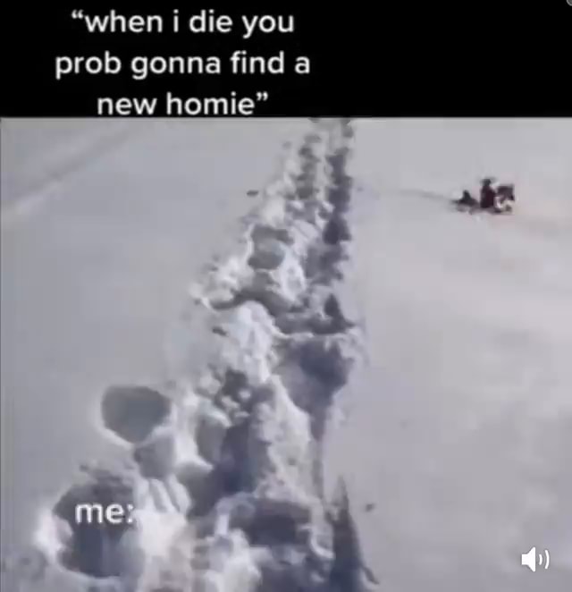 "when i die you prob gonna find a new homie" mes, - iFunny
