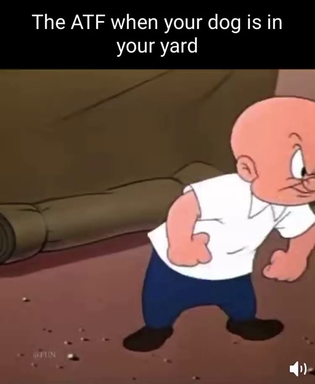 The ATF when your dog is in your yard - iFunny