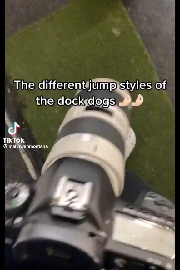 The different jump styles of the dock dogs cf TikTok - iFunny