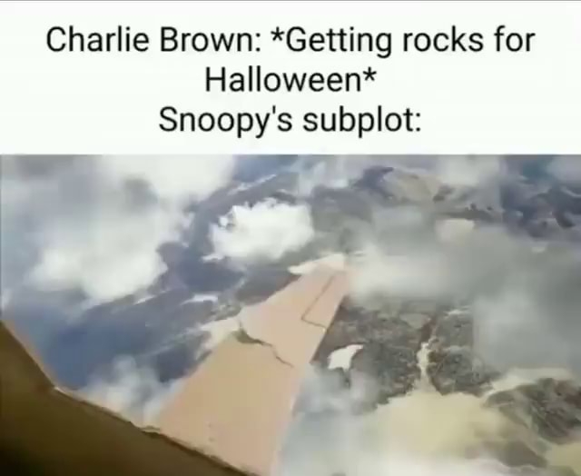 Charlie Brown: *Getting rocks for Halloween* Snoopy's subplot: - iFunny