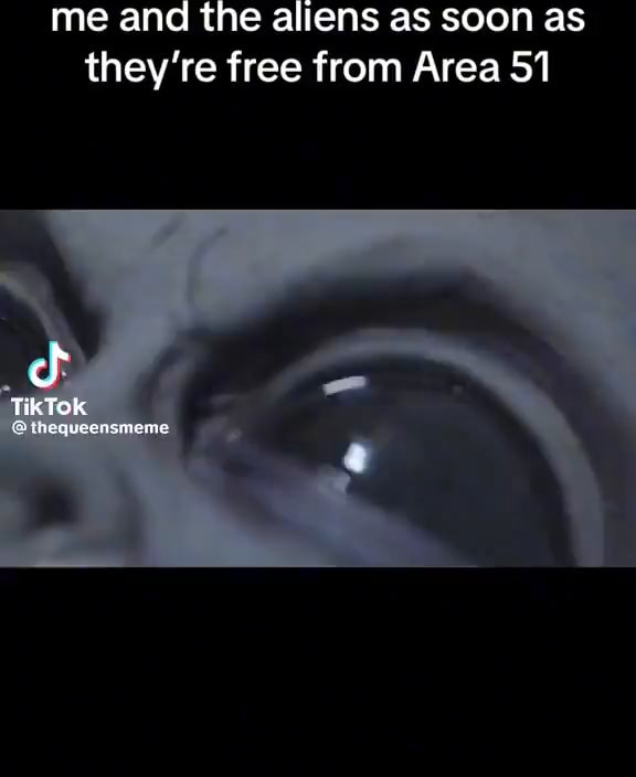 Me and the aliens as soon as they're free from Area 51 Tik Tok - iFunny