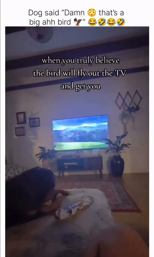 Dog said "Damn that's a big ahh bird when. you truly believe the bird ...