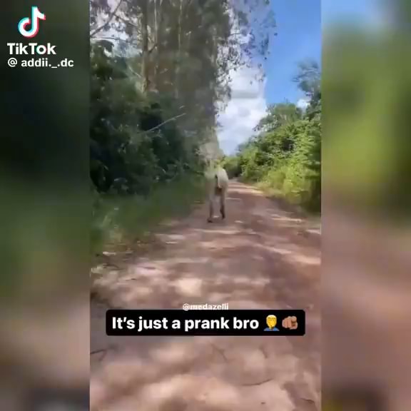 TikTok de It's just a prank bro - iFunny