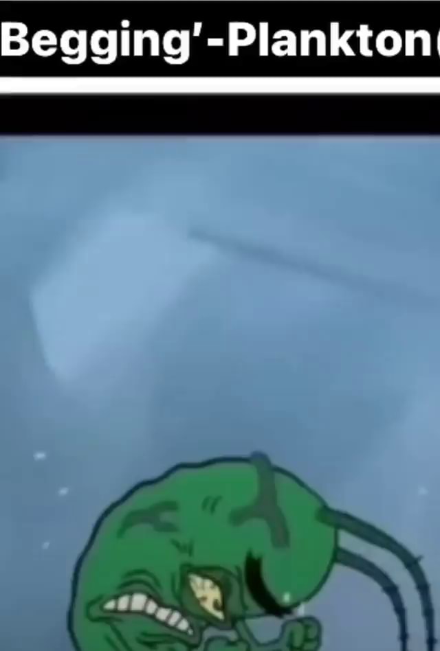 Begging Plankton Ifunny