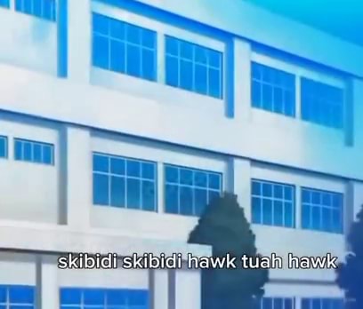 Skibidi skibidi hawk tuah hawk - iFunny