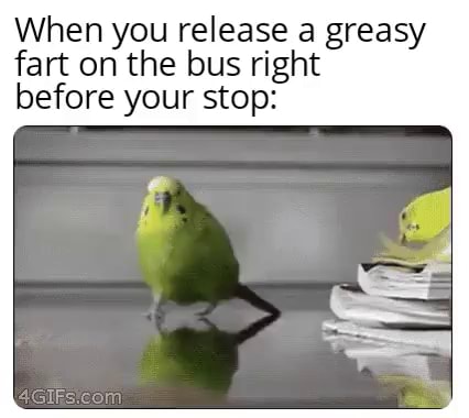 When you release a greasy fart on the bus right before your stop: - iFunny