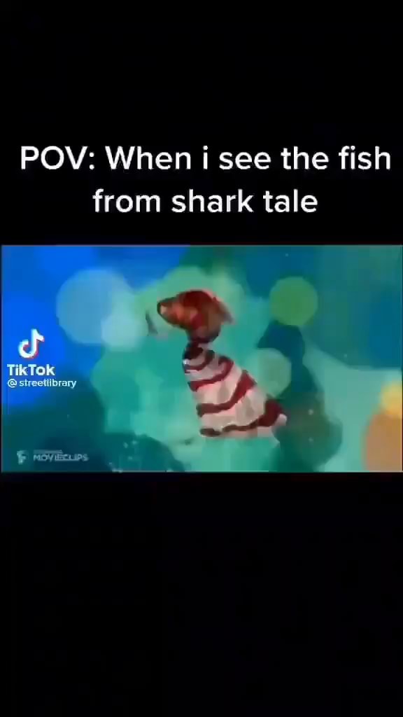 POY: When see the fish from shark tale - iFunny