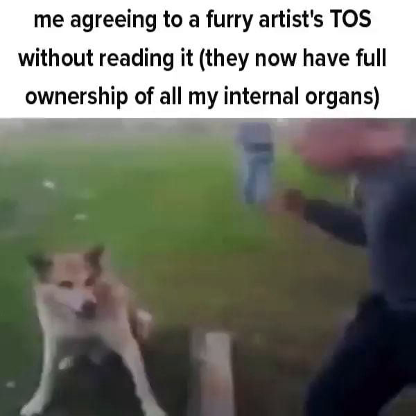 Me agreeing to a furry artist's TOS without reading it (they now have ...