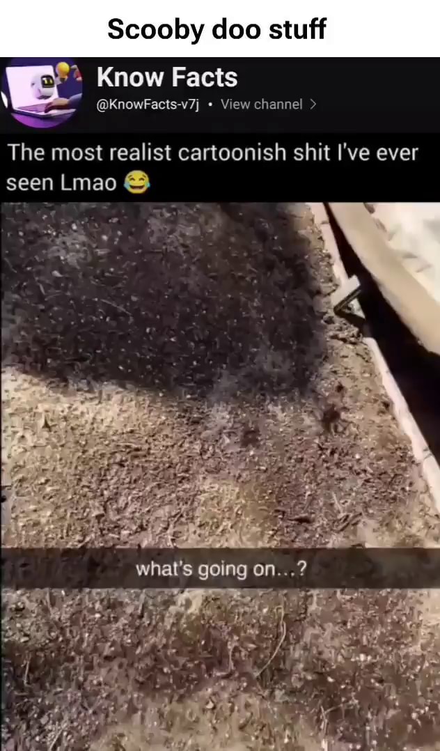 Scooby doo stuff Know Facts @KnowFacts-v7j View channel > The most ...