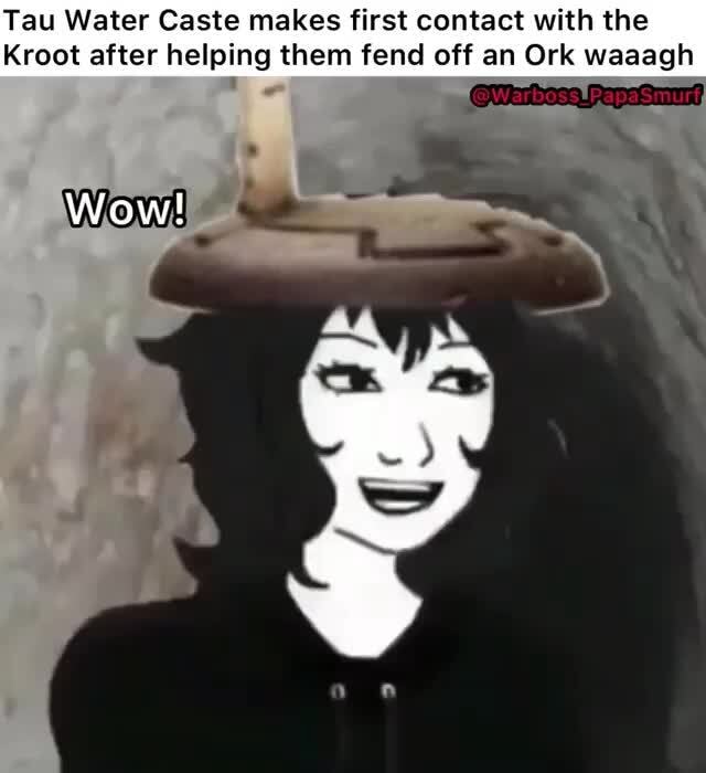 Tau Water Caste makes first contact with the Kroot after helping them ...