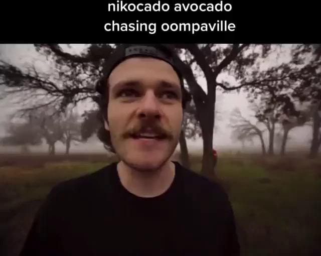 Nikocado avocado chasing oompaville - iFunny