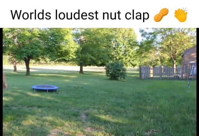 Worlds loudest nut clap - iFunny