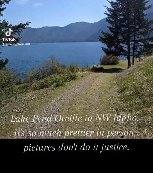 Reille in NW ch prettier in person, pictures don't do it justice. - iFunny