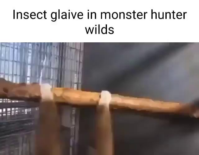 Insect glaive in monster hunter wilds - iFunny