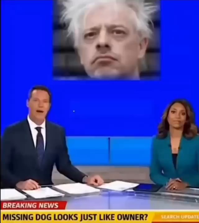 BREAKING NEWS MISSING DOG LOOKS JUST LIKE OWNER? - iFunny