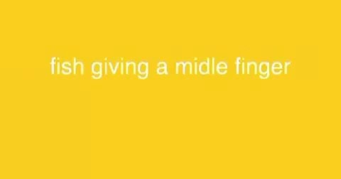 Fish giving a midle finger - iFunny