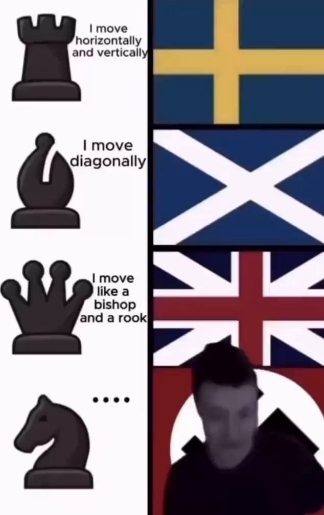 I move horizontally and verticall move diagonally - iFunny