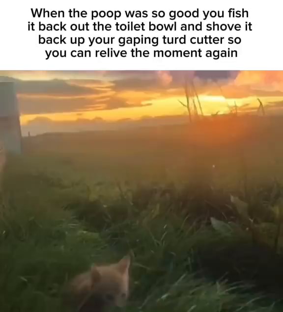 When the poop was so good you fish it back out the toilet bowl and ...