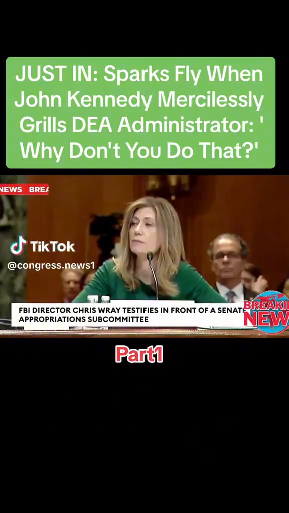 Memes - JUST IN: Sparks Fly When John Kennedy Mercilessly Grills DEA ...