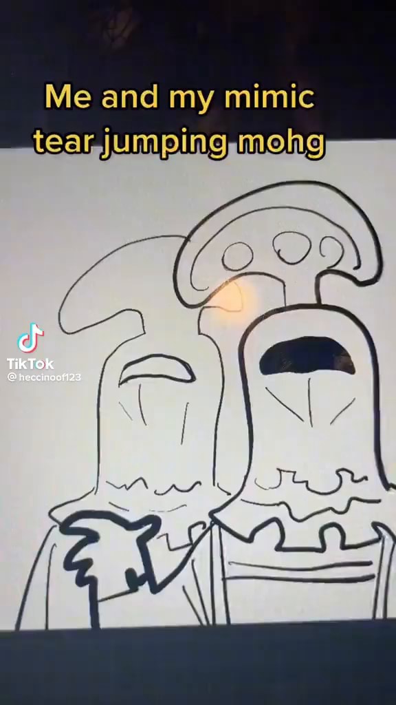 Me and my mimic tearjumpingsmohg - iFunny