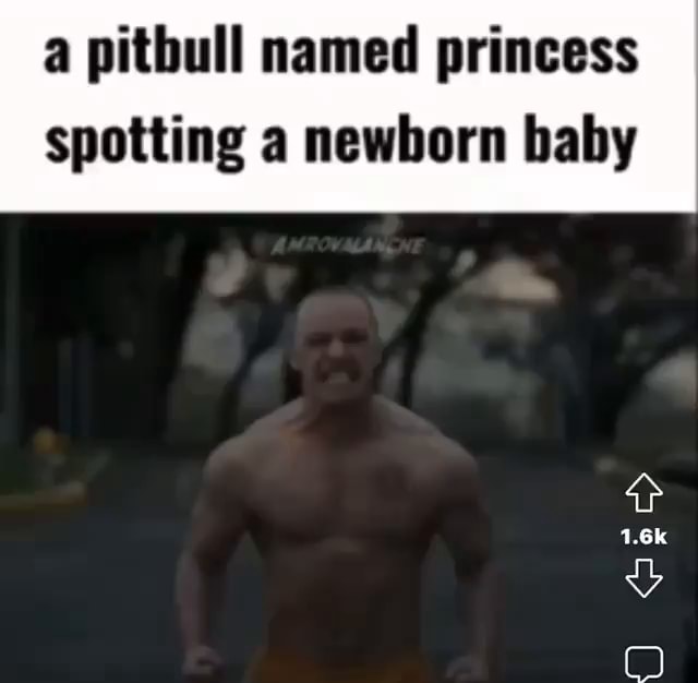 A pitbull named princess spotting a newborn baby - iFunny