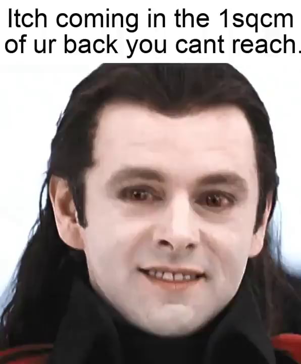 Itch coming in the 1sqcm of ur back you cant reach. - iFunny