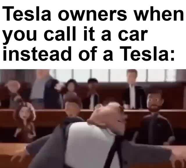 Tesla owners when you Call it a car instead of a Tesla: - iFunny