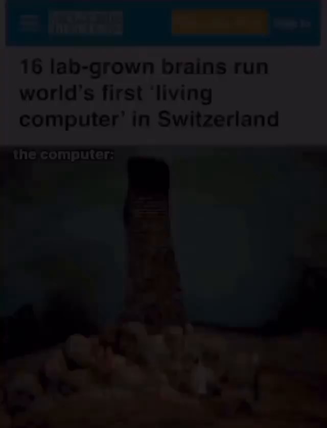 16 Lab Grown Brains Run Worlds First Living Computer In Switzerland The Computer Ifunny