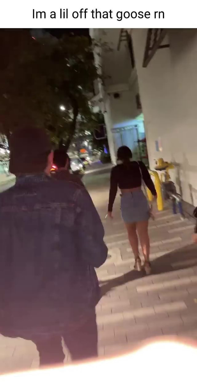 Im a lil off that goose rn - iFunny