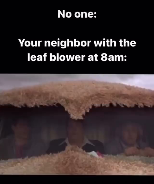No one: Your neighbor with the leaf blower at 8ami: - iFunny