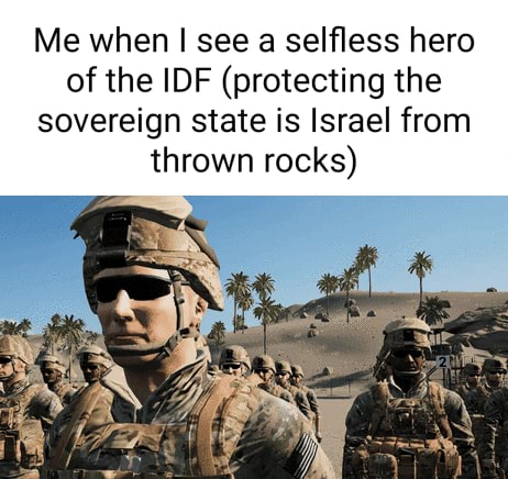 Me when I see a selfless hero of the IDF (protecting the sovereign ...