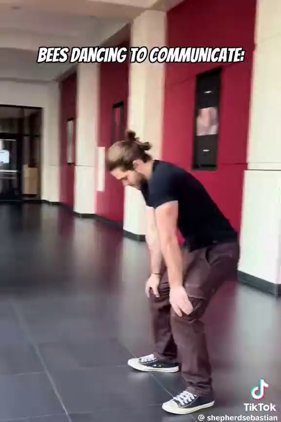 BEES DANCING TO COMMUNICATE: - iFunny