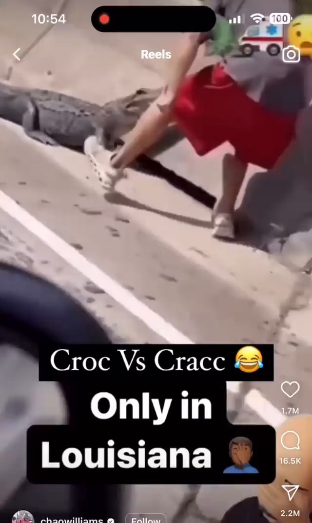 Louisiana Reels SS I Croc Vs Cracc Only in - iFunny