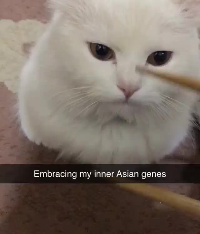 Embracing my inner Asian genes - iFunny