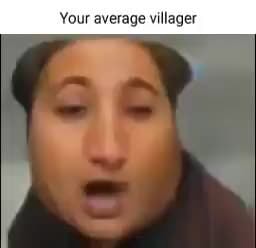 Your average villager - iFunny