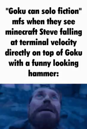 "Goku can solo fiction" mfs when they see minecraft Steve falling at ...