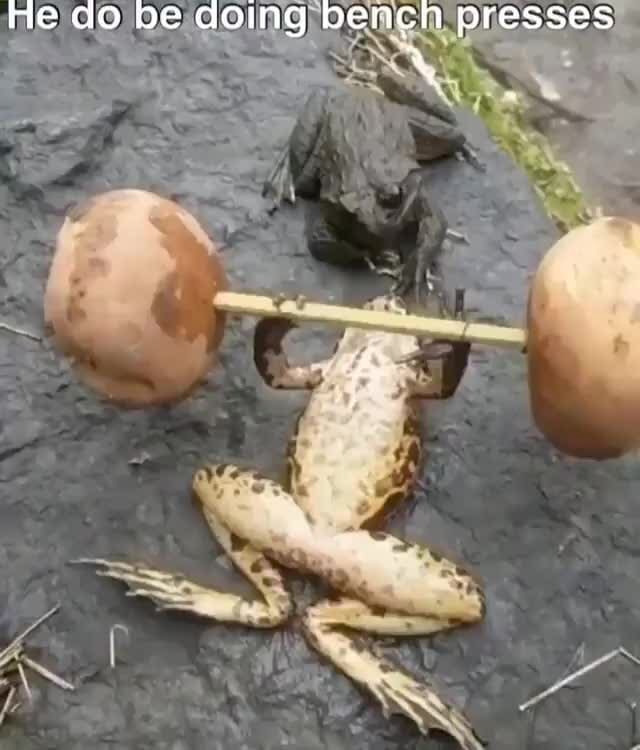What a strong frog”l - iFunny