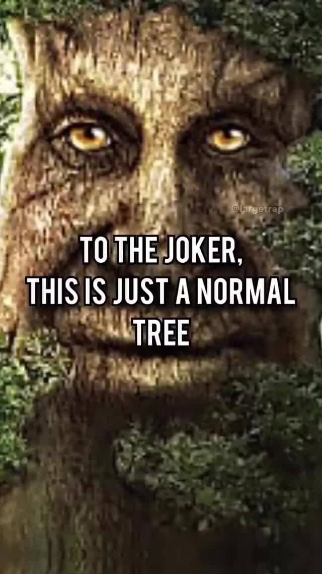 TO THE JOKER, THISTS JUST A NORMAL TREE - iFunny