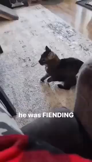 He was FIENDING - iFunny