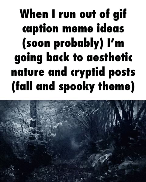 When run out of gif caption meme ideas (soon probably) I'm going back ...