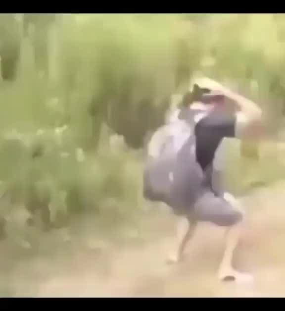 Video memes BRcF3ZAt9 by eggier_2020: 52 comments - iFunny