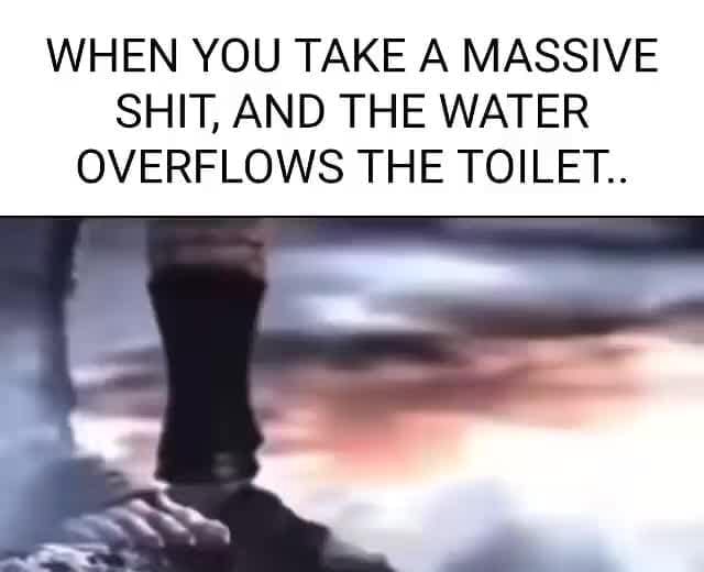WHEN YOU TAKE A MASSIVE SHIT, AND THE WATER OVERFLOWS THE TOILET.. - iFunny