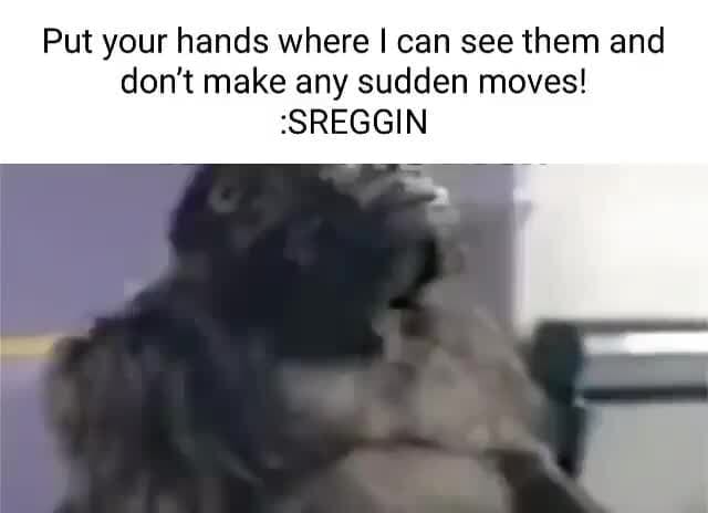 Put your hands where I can see them and don't make any sudden moves ...