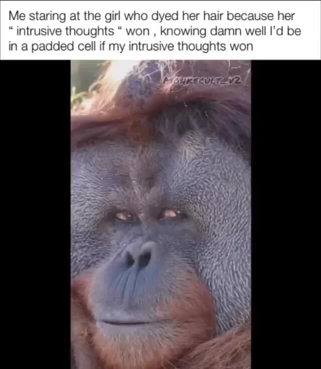 Me staring at the girl who dyed her hair because her intrusive thoughts ...