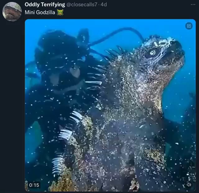 Oddly Terrifying @closecalls7 Mini Godzilla ad - iFunny