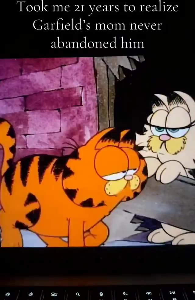 Took me 21 years to realize Garfield's mom never abandoned him - iFunny